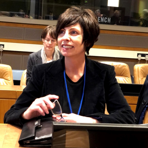 Main Representative of IFIMES to the ECOSOC/UN Mernik Knee at the event ...